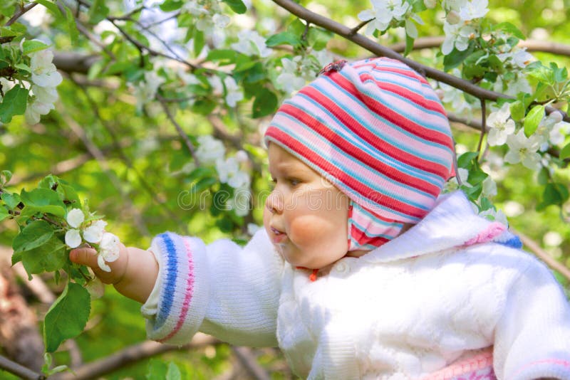 Portrait of Small Baby in Spring Garden Stock Image - Image of portrait ...