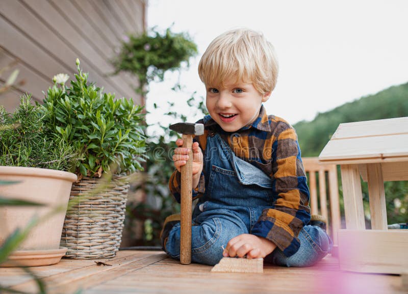 Portrait of Small Boy Outdoors on Table Constructing Birdhouse, Diy ...