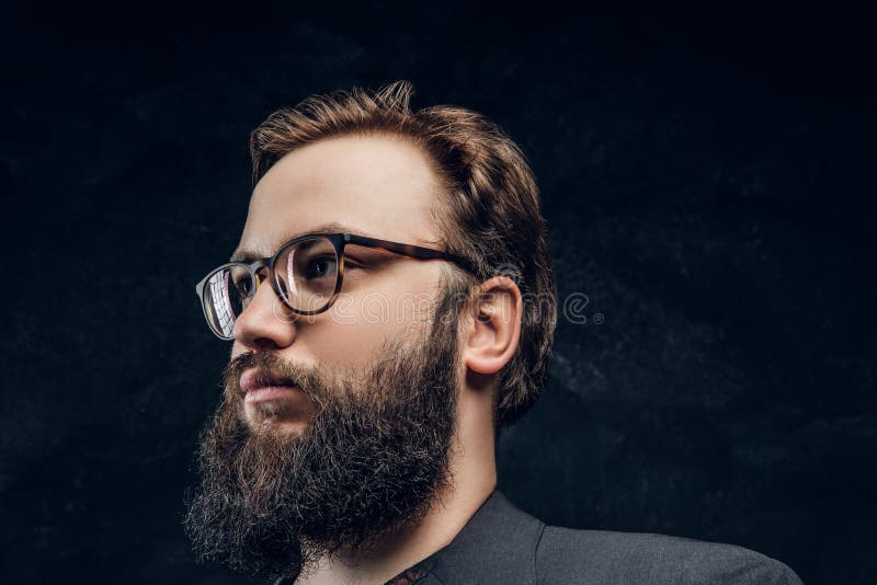 Portrait of a Smart Bearded Man in Glasses in a Dark Studio Stock Image ...