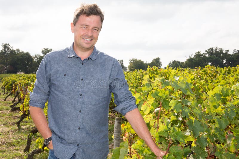 Smiling Man Vintner Posing at Vineyard Stock Image - Image of people ...