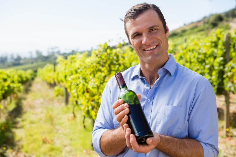 Portrait of Smiling Vintner Examining Wine Stock Image - Image of ...