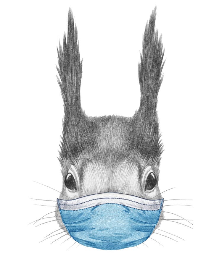 Portrait of Squirrel with a Face Mask. Hand-drawn Illustration. Stock ...
