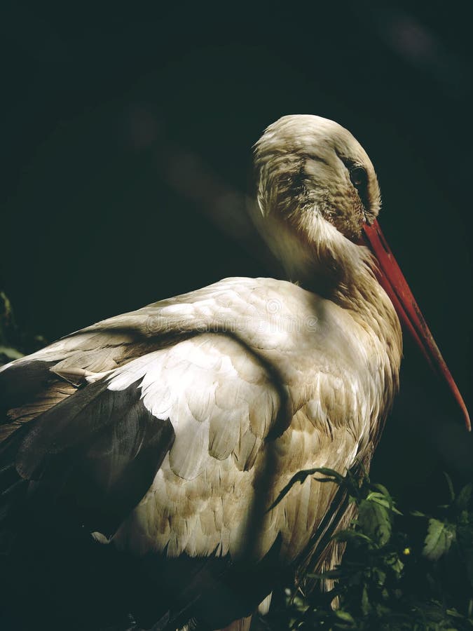 Fl K (Photosnak) - Photographer profile