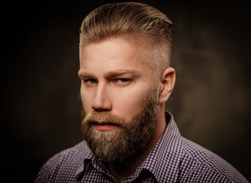 Portrait of Stylish Bearded Man on Gray. Stock Photo - Image of posing ...