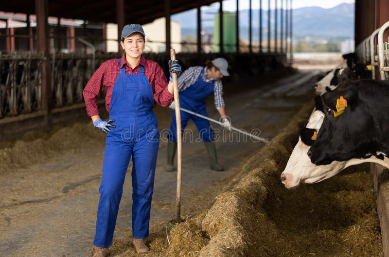 Portrait of Successful European Female Farmer Posing in Cowshed Stock ... Portrait of Successful European Female Farmer Posing in Cowshed Stock ...