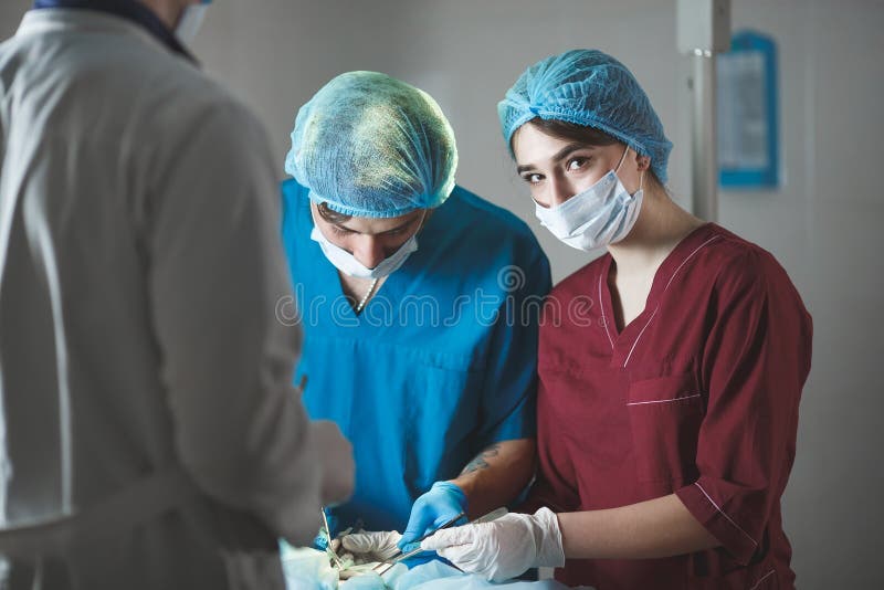 Portrait of Surgeons at Work, Operating in Uniform, Looking at Camera ...