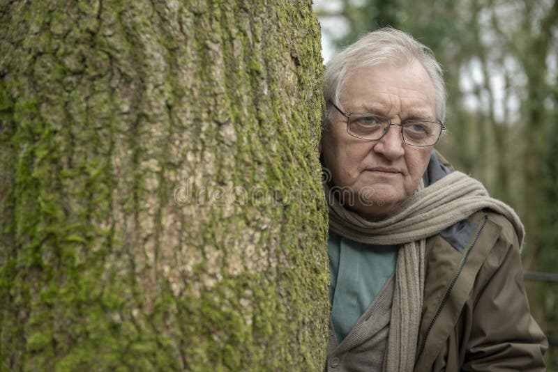 240 Man Hiding Behind Tree Stock Photos - Free & Royalty-Free Stock ...