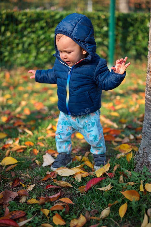 Sweet Little Boy Walking in the Park Stock Photo - Image of innocence ...