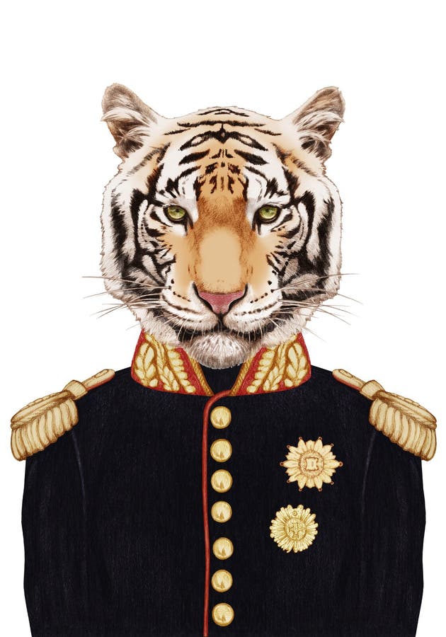 Portrait of Tiger in Military Uniform. Stock Illustration ...