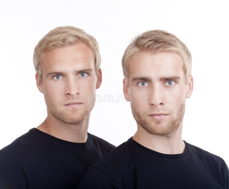 Twin Brothers Mountain Peak with Sheer Navajo Sandstone Cliffs ...