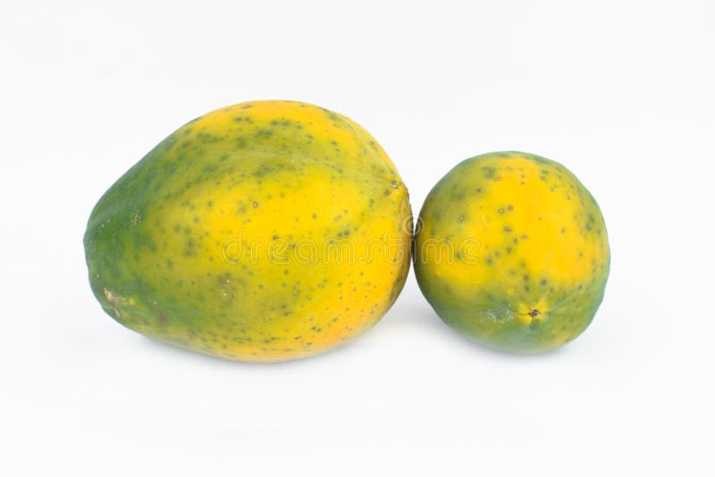 Portrait of Two Fresh Green Medium Sized Papaya Fruit Isolated on a ...