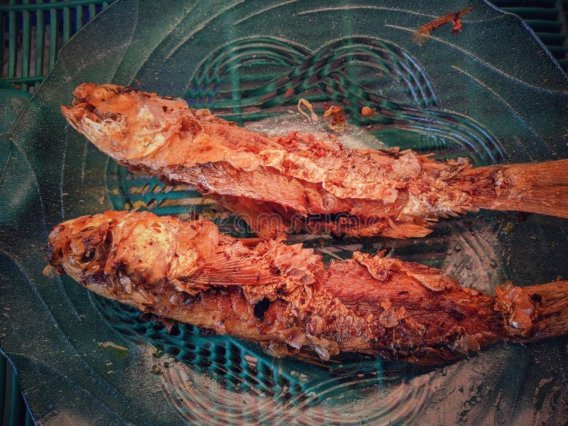 Portrait of Two Fried Fish on a Clear Plate Stock Photo - Image of ...
