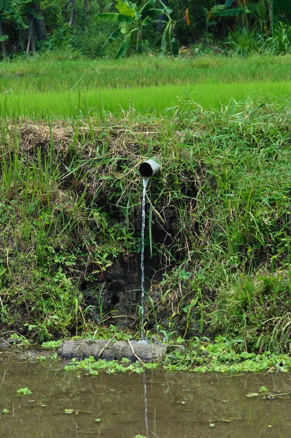 Portrait Irrigation Water Falling through Plastic Pipe Installed in ...