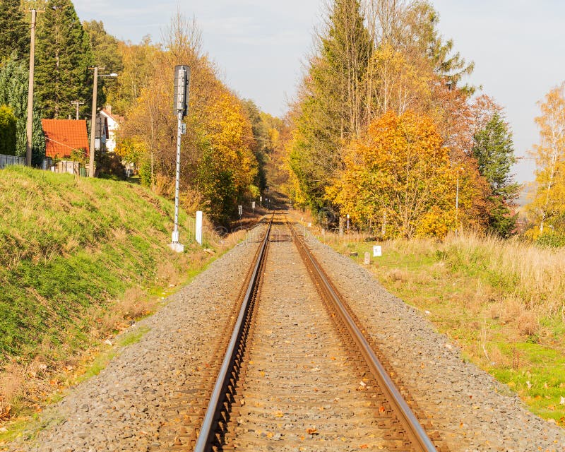 Portrait View of Train Track Surrounded by Trees, Grass and Tracks in ...