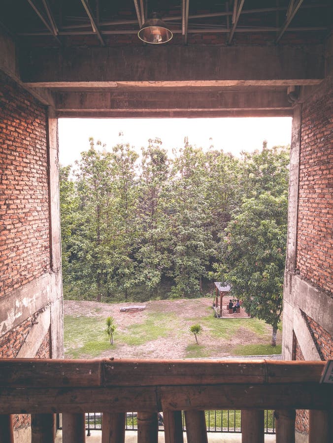 Portrait of a View of Trees Taken from Indoors Stock Image - Image of ...