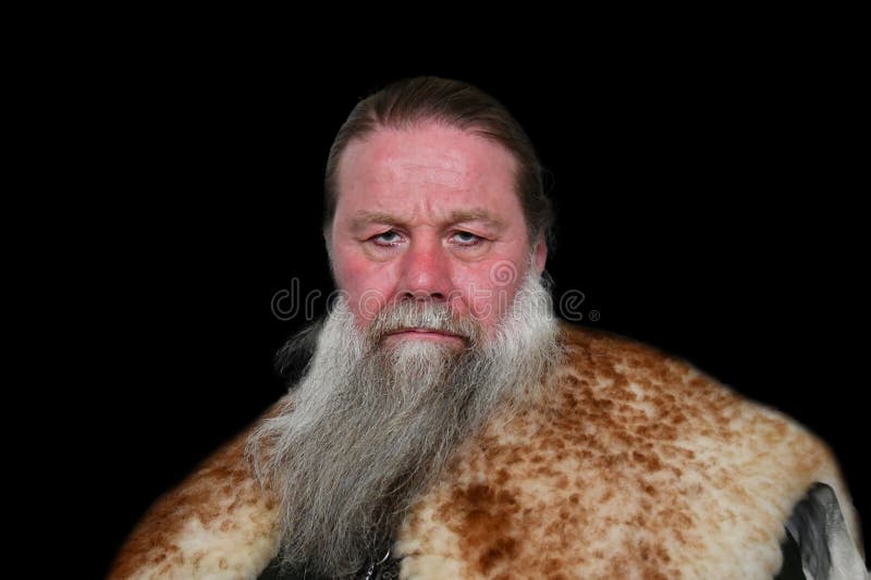 10,185 Viking Warrior Stock Photos - Free & Royalty-Free Stock Photos ...