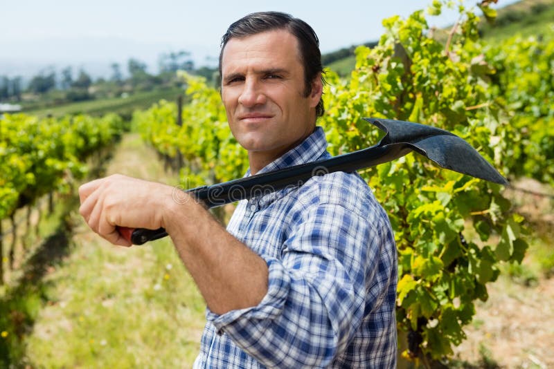 Portrait of Vintner Standing with Shovel in Vineyard Stock Image ...