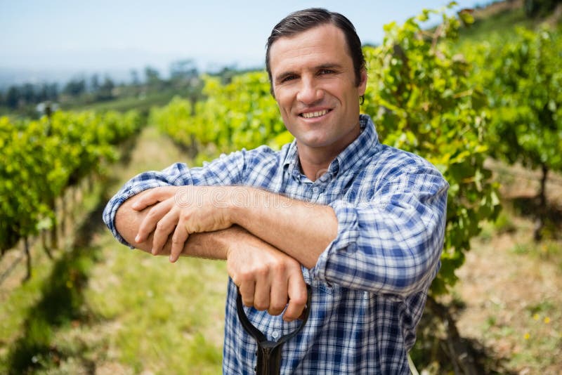 Portrait of Vintner Standing with Shovel in Vineyard Stock Image ...