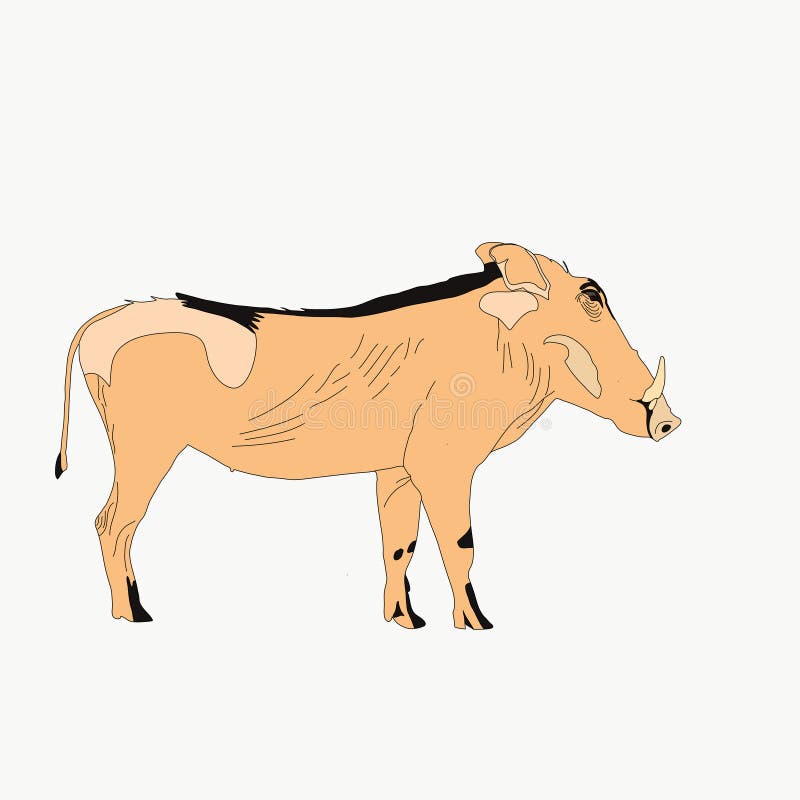 Portrait of a Warthog, Side View Stock Vector - Illustration of animal ...