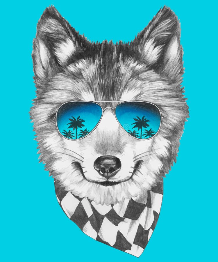 Portrait of Wolf with Glasses and Scarf. Stock Vector - Illustration of ...