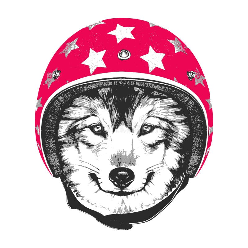 Portrait of Wolf with Helmet. Stock Vector - Illustration of hand ...