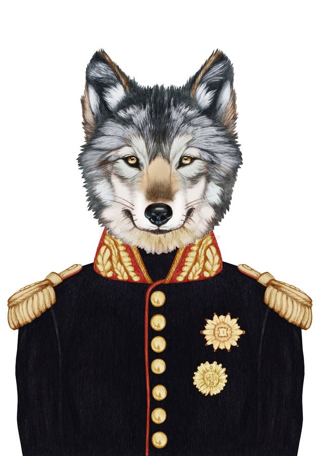 Portrait of Wolf in Military Uniform. Stock Illustration - Illustration ...