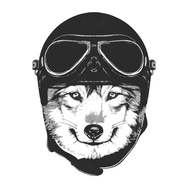 Portrait of Wolf with Vintage Helmet. Stock Vector - Illustration of ...