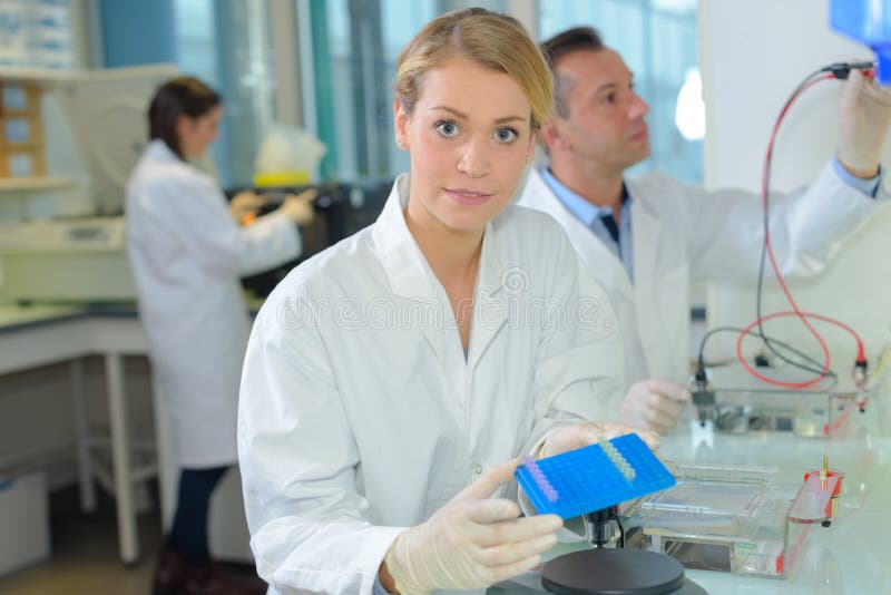 Portrait Woman in Laboratory Stock Photo - Image of health, collect ...