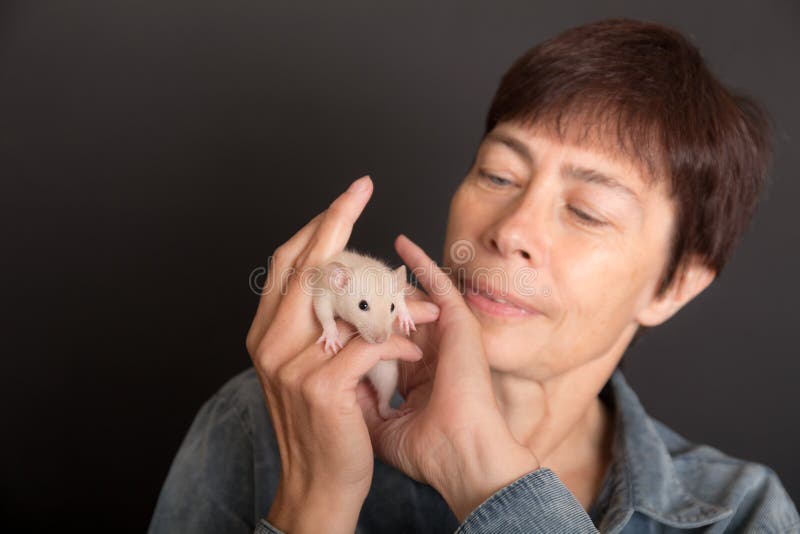 Rat on shoulder stock image. Image of rodent, color - 220317495