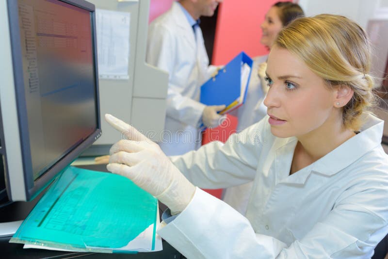 Portrait Worker Setting Computer Stock Image - Image of examination ...