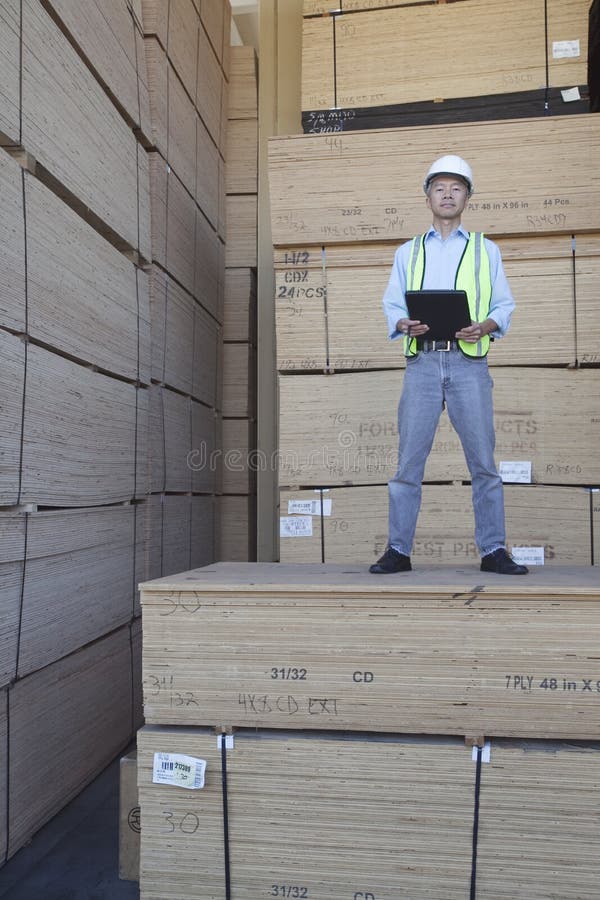 Portrait of a Worker Standing on Stack of Plywood Stock Image - Image ...