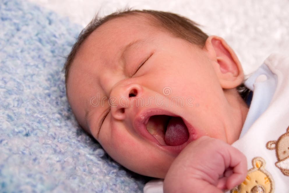 Portrait of a Yawn stock photo. Image of family, infant - 2442076