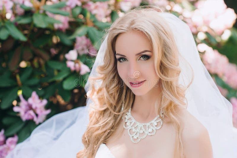 Portrait of a Young Beautiful Bride Stock Image - Image of bride ...