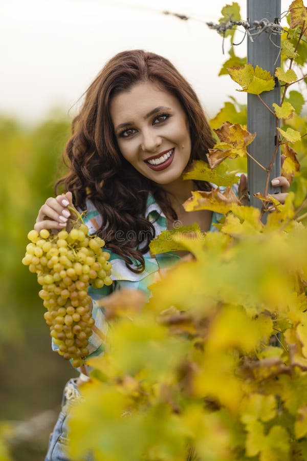 Portrait of Beautiful Woman Picking Grapes Stock Image - Image of happy ...