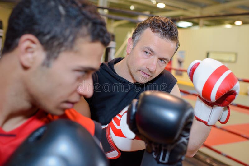 Portrait Young Boxing Student Stock Photo - Image of handsome, punch ...