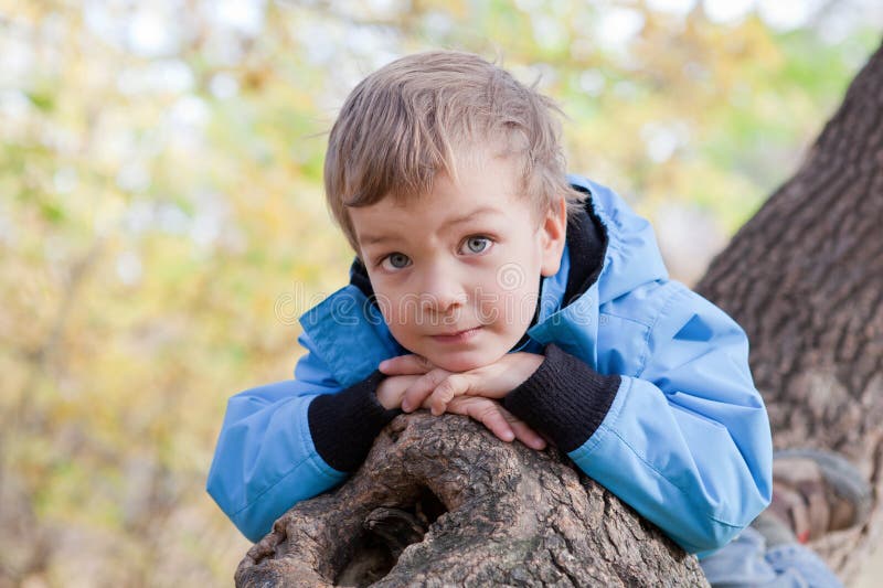 Young Boy Fall stock image. Image of blue, maple, leaves - 65050089