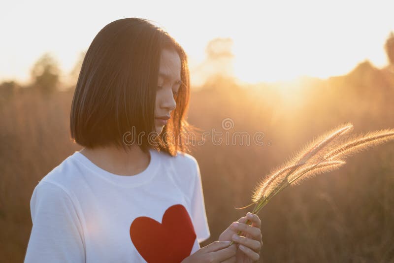 Portrait Young Girl with Rim Light at Meadow Stock Photo - Image of ...