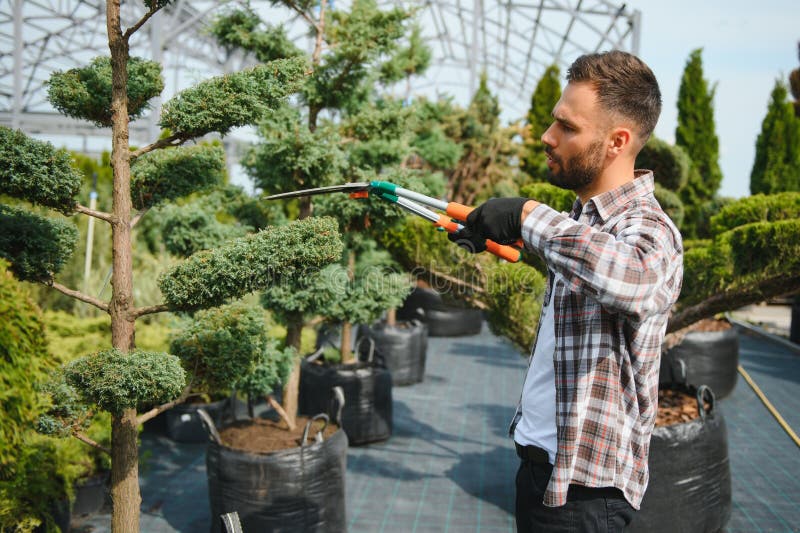 Portrait of a Young Handsome Gardener. Shop of Tree Sprouts. Stock ...