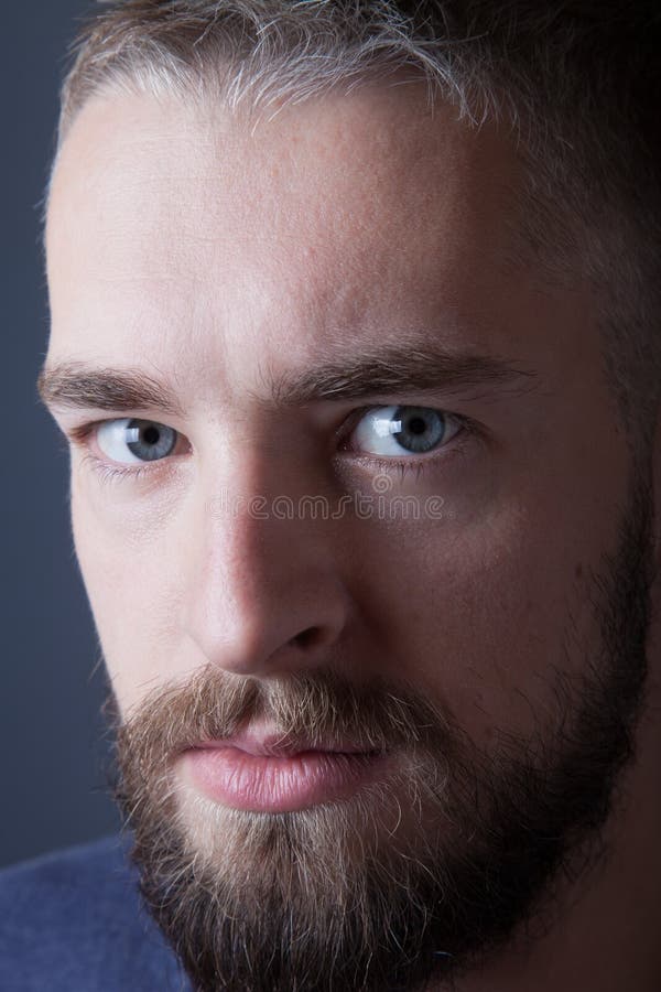 Portrait of a Young Man with a Beard Stock Image - Image of grey, ideas ...