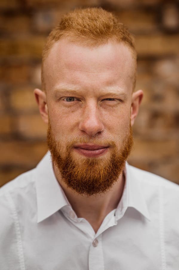 Portrait of Young Red Hair Man with Beard Stock Photo - Image of beard ...