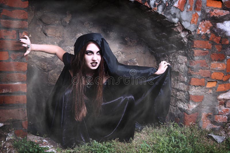 Evil witch on a broomstick stock image. Image of horror - 16505983