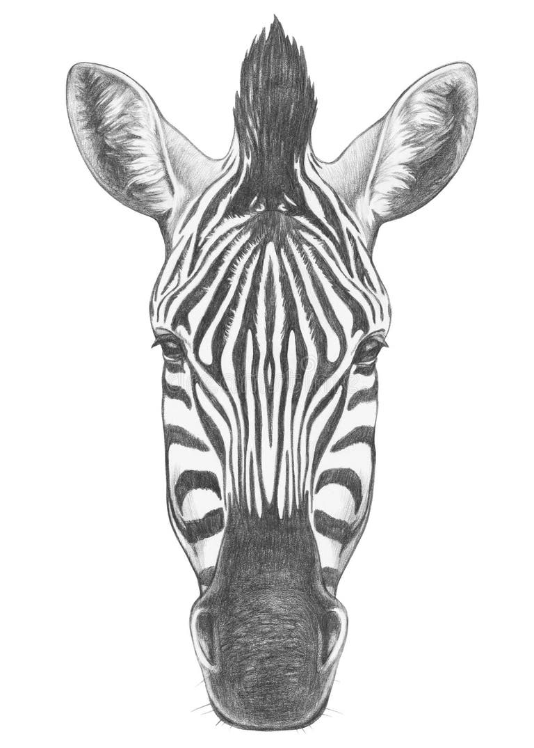 Zebra Hand Stock Illustrations – 9,942 Zebra Hand Stock Illustrations ...