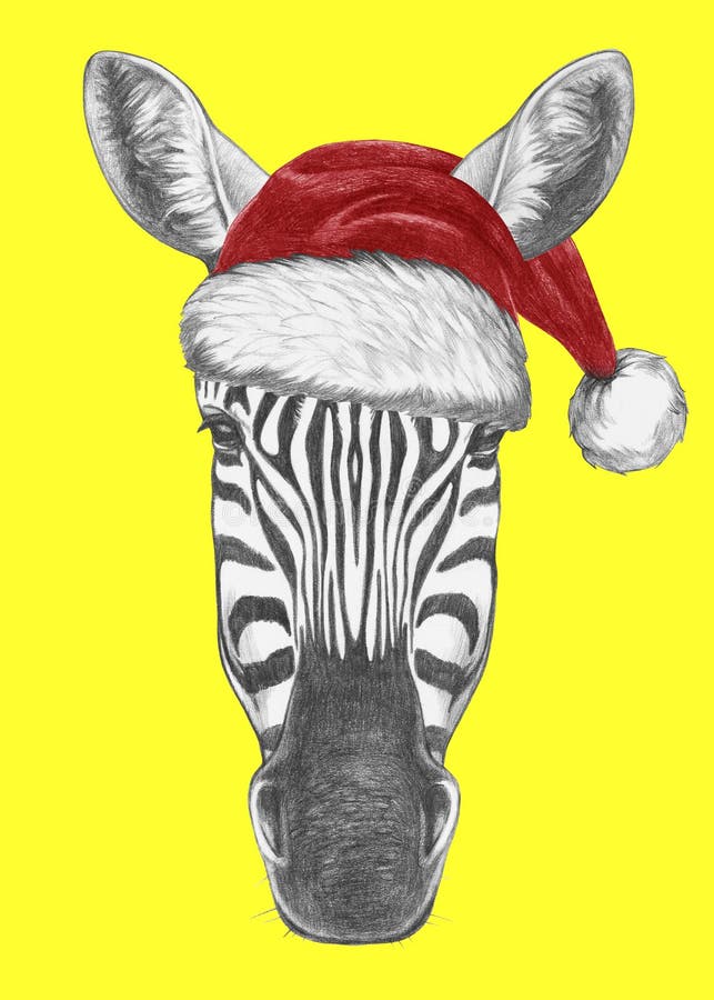Portrait of Zebra with Santa Hat. Stock Illustration - Illustration of ...
