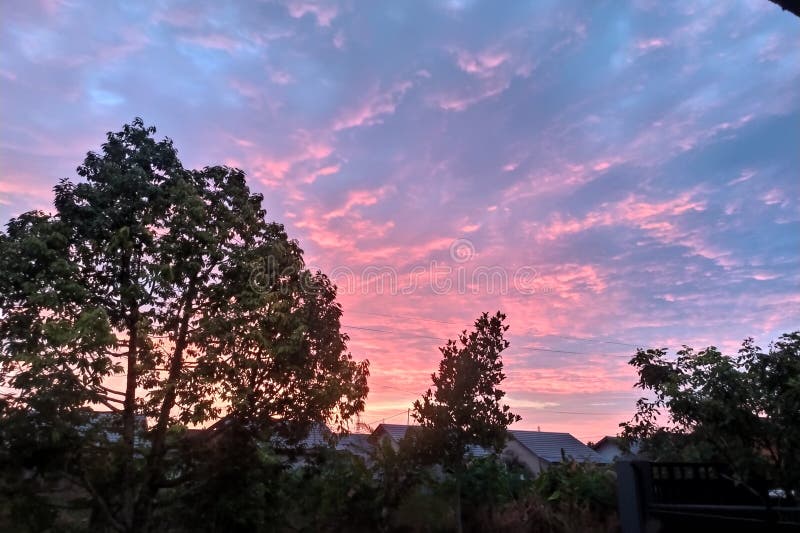 Portraits of Urban Twilight with Clear Sky Sunsets and a Few Trees ...