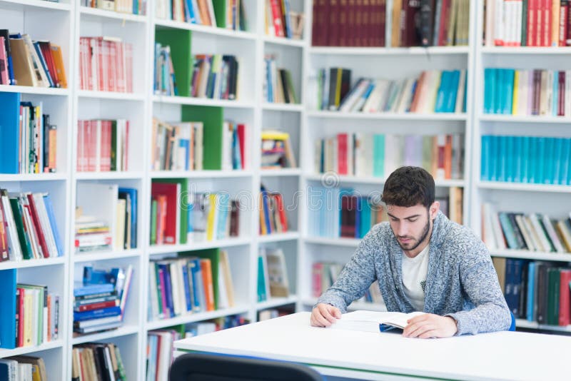 Portret Od Student in School Library Stock Image - Image of person ...