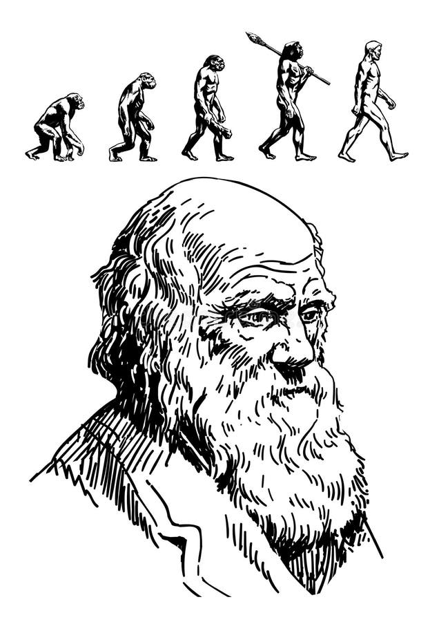 Portret van Charles Darwin vector illustratie. Illustration of ...