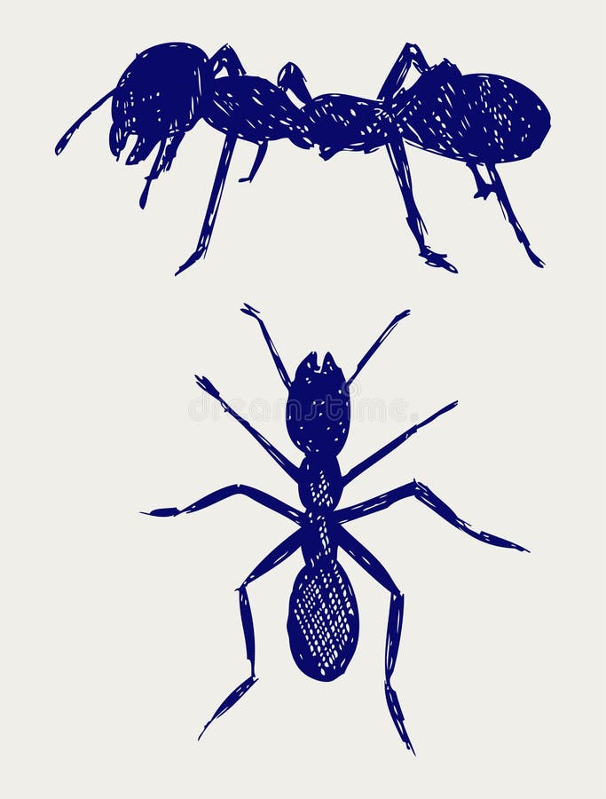 Tekening Van Mier Stock Illustrations, Vectors, & Clipart – (2,571 ...