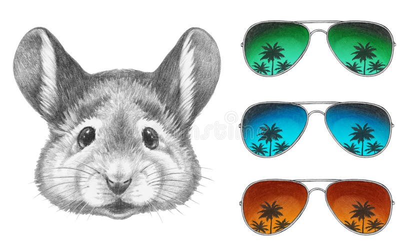 Portret Van Muis Met Helm, Hand-drawn Illustratie Stock Illustratie ...
