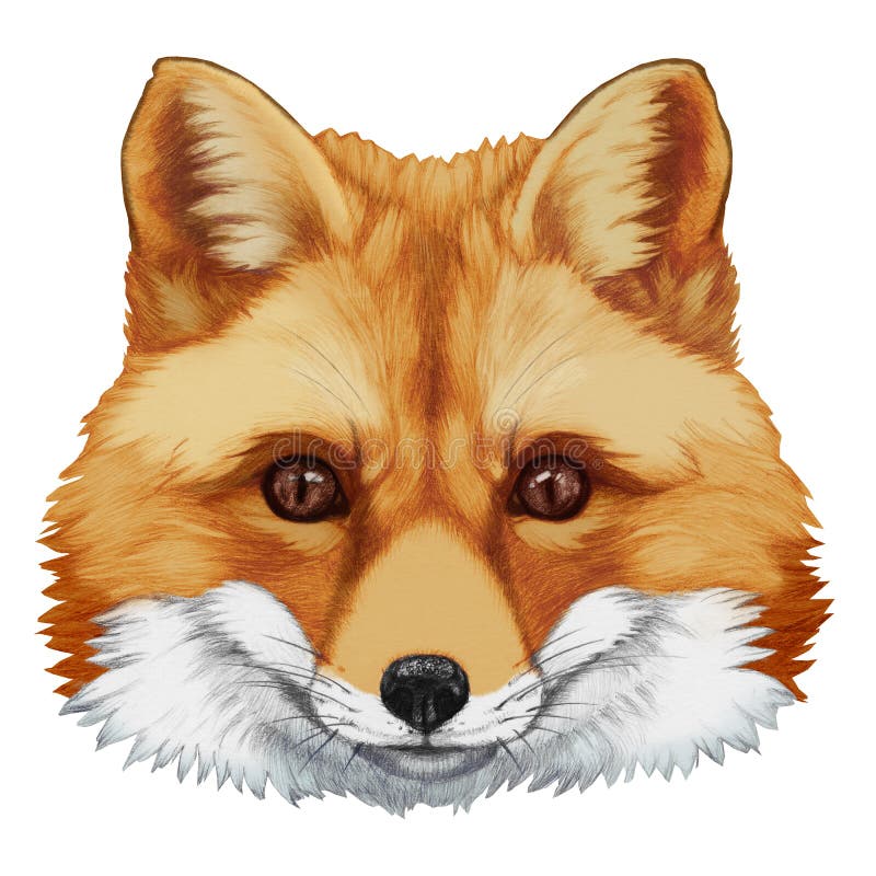 Portret van Vos stock illustratie. Illustration of tekening - 85597979