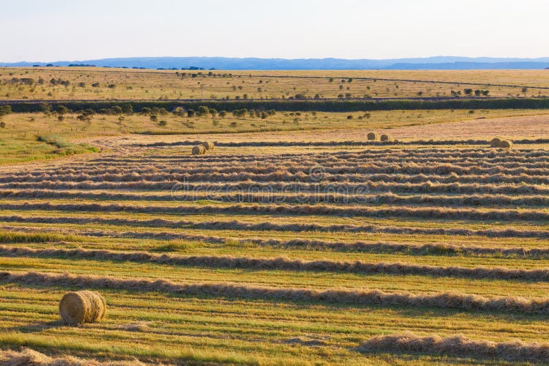 Portugal - Agriculture stock image. Image of intact, highway - 30975995